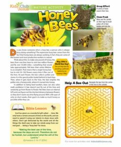 Nature Activity Honey Bees – Little Light Kids
