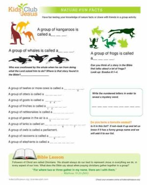 Nature Explorer All About Groups – Little Light Kids